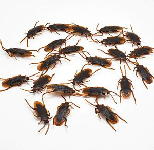 PMW Toys Set of 25 Fake Cockroach - Toys Set of 25 Fake Cockroach . Buy ...