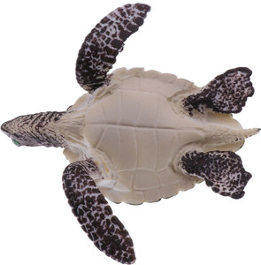 Lyla Realistic Science Plastic Animal Tortoise Model Figure Turtle ...