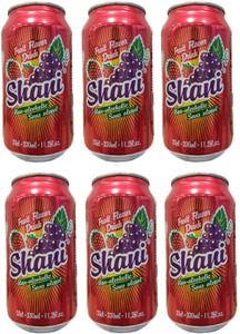 Shani Fruit Flavoured Drink 300ml (Pack of 12 Cans X 300ml Each) Can ...