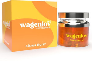 3003BC Wagenlov Citrus Burst Car air freshener Car Freshener Blocks ...