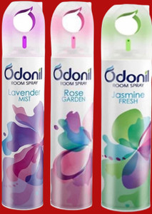 Odonil Car Freshener Spray Price in India - Buy Odonil Car Freshener ...