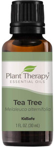 Plant Therapy Essential Oil 100% Pure, Undiluted, Natural Aromatherapy ...