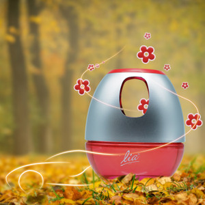 Lia Mango Caramel (Joyful) Fragrance 45 gm | Dashboard Gel Car Air ...