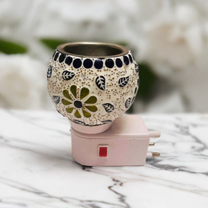 BERG Electric Diffuser Kapoor Dani with On/Off Switch & Night Lamp ...