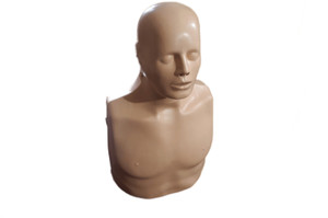Practiman MB-001_AD|PRACTI-MAN|CPR|MANIKIN Anatomical Body Model Price ...
