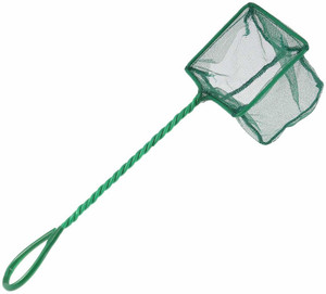 HOIVA PACK OF 1 AQUARIUM FISH CATCHER NET STICK FOR FISH TANK 6 INCH ...