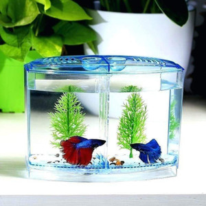 Jainsons Pet Products Mini Aquarium Betta Double Chamber House Fish ...
