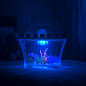 Blue Marlin Aquarium BMX-QC- 4L Concave View Aquarium Tank Price in ...