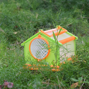 Lyla Portable Butterfly Insect Habitat Cage Critter Caterpillars ...