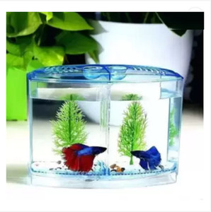 OCEANAQUARIUM Mini Aquarium Betta Double Chamber House Fish Breeding ...