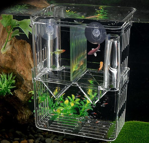 Aquastar Aquarium Breeding Box: Ideal for Guppy, Betta, Killifish, and ...