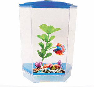 FlyExtreme Betta Fish Corner Pentagon Aquarium Tank Price in India ...