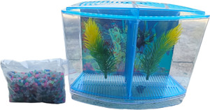 RPM 8 Inches Betta Mini Fish Tank Blue Rectangle Aquarium Tank Price in ...