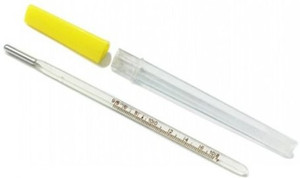 Monumonu Mercury thermometer-06 Aquarium Thermometer Price in India ...