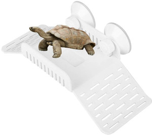 Petslife turtle stand Aquarium Tool Price in India - Buy Petslife ...