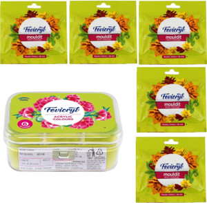 Pidilite Fevicryl Mouldit Clay 50gm ( Pack of 5 ) and Fevicryl Acrylic ...