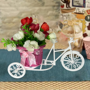 Lata Romentice cycle gifts for Wife & Girlfriend Any Special Occasion ...