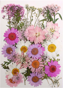 ITSY Bitsy Natural Dried Pressed Flowers Delicate Pinks Multicolor ...