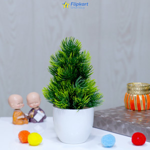 Flipkart SmartBuy Home Decoration Pack Bonsai Wild Artificial Plant ...