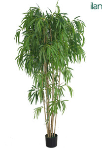 ILAN INDIA | Artificial Bamboo Tree | 6 ft | Real Touch Leaves ...