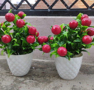 EVER ORGANIC Bonsai Artificial Plant with Pot Price in India - Buy EVER ...