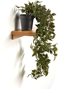 KUBER INDUSTRIES Mini Plastic Potted Vine Plant for Home Office ...