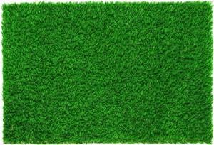 Shivlene ARTIFICIAL GRASS 2*15 Artificial Turf Sheet Price in India ...