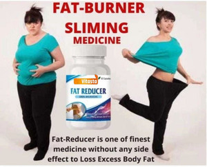 VITASTA FAT REDUCER AYURVEDIC FAT BURNER Price in India - Buy VITASTA ...