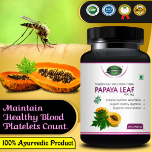 Sabates Papaya Leaf | Herbal Supplement Immunity Improves Blood ...