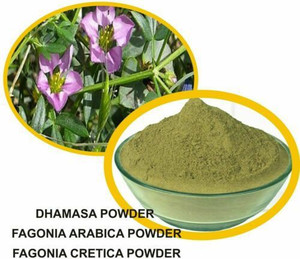 Bharat Fagonia Arabica (Dhamasa) Booti Powder -100 Gram Pack Price in ...