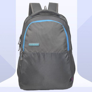 kamiliant by american tourister KAM VALARIE 28 L Backpack Grey - Price ...