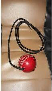 nizex Tough Leather Cricket Hanging Ball For , cricket training ( 1 ...