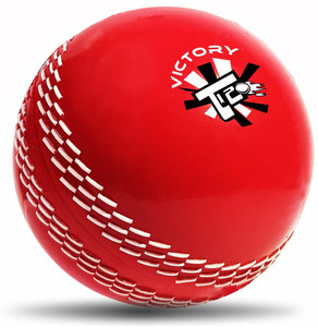 VICTORY T-20 Synthetic Cricket Ball Wind Ball for Cricket Tournament ...