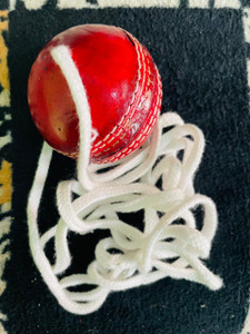 nizex NCXX- Leather Cricket Hanging Ball For Knocking Practice / Red ...