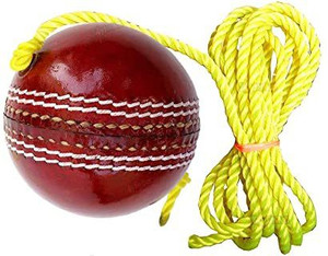 A R ENTERPRISES Leather Hanging Cricket Ball with Rope for Knocking ...