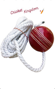 Cricketkingdom Cricket Leather Hanging Ball With Rope For Training ...