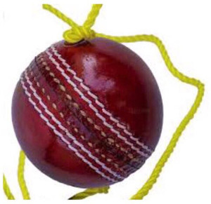 nizex XCVI- Leather Cricket Hanging Ball red Color For Shot Practice ...