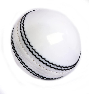 REINDEER Leather Club Heavy-Ball for Professional Cricket Players ...