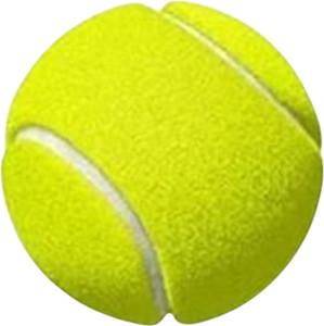 NEXIFY ® Light Weight Tennis Ball | Perfect for Recreational Sports ...