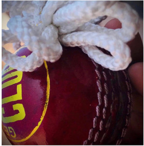 nizex XZCV - Tough Leather Cricket Hanging Ball red For Shot Practice ...