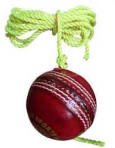 nizex XCV- Solid Leather Cricket Hanging Ball for Shot Practice ( 1 ...