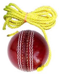 Weber Tough Leather Cricket Hanging Ball Red , For Shot Practice , 1 ...