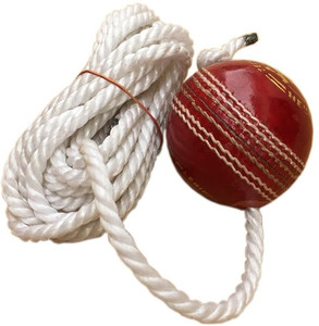 shree ji sports Cricket Ball and Knocking Cricket Ball with Rope (Multi ...