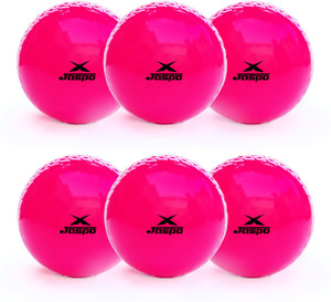 Jaspo T-20 Plus Practice Cricket /Wind Balls for Indoor & Outdoor ...