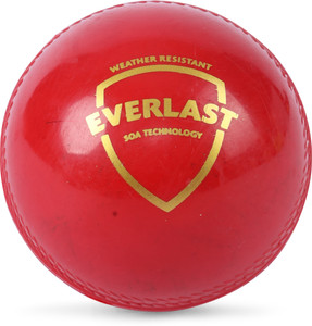 SG EVERLAST Cricket Synthetic Ball - Buy SG EVERLAST Cricket Synthetic ...