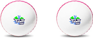 Jaspo T-20 Plus Practice Cricket Ball/Wind Balls for - Indoor & Outdoor ...