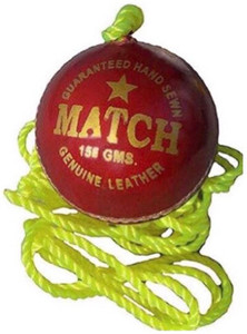 nizex Leather Cricket Hanging Ball , Red / For Shot Practice ,1 Ball ...