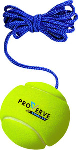 proverve Cricket Tennis Hanging Practice ball With jar, Heavy Indoor ...