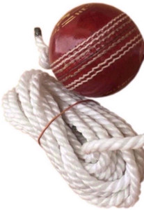 Weber AXCI- Tough Leather Hanging Ball Red , For Shot Practice, 1 Ball ...