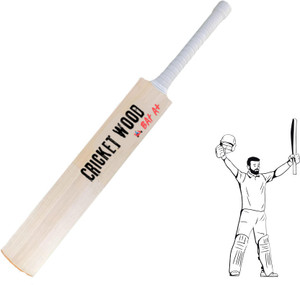 ggggonex short handle Cricket Bat + 1 Stand ADB_18 NEW_plastic Poplar ...